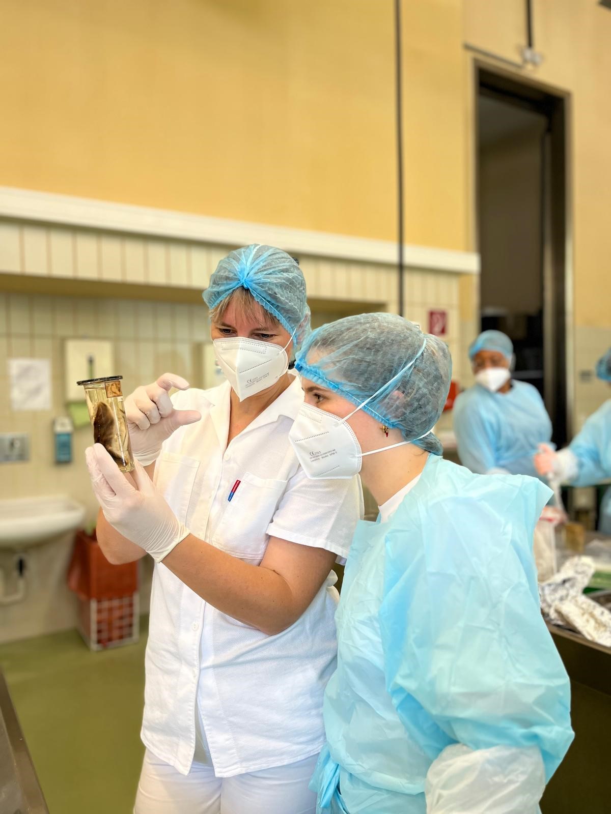 Tracing ancient pathogens in Vienna | HELMHOLTZ HIOH