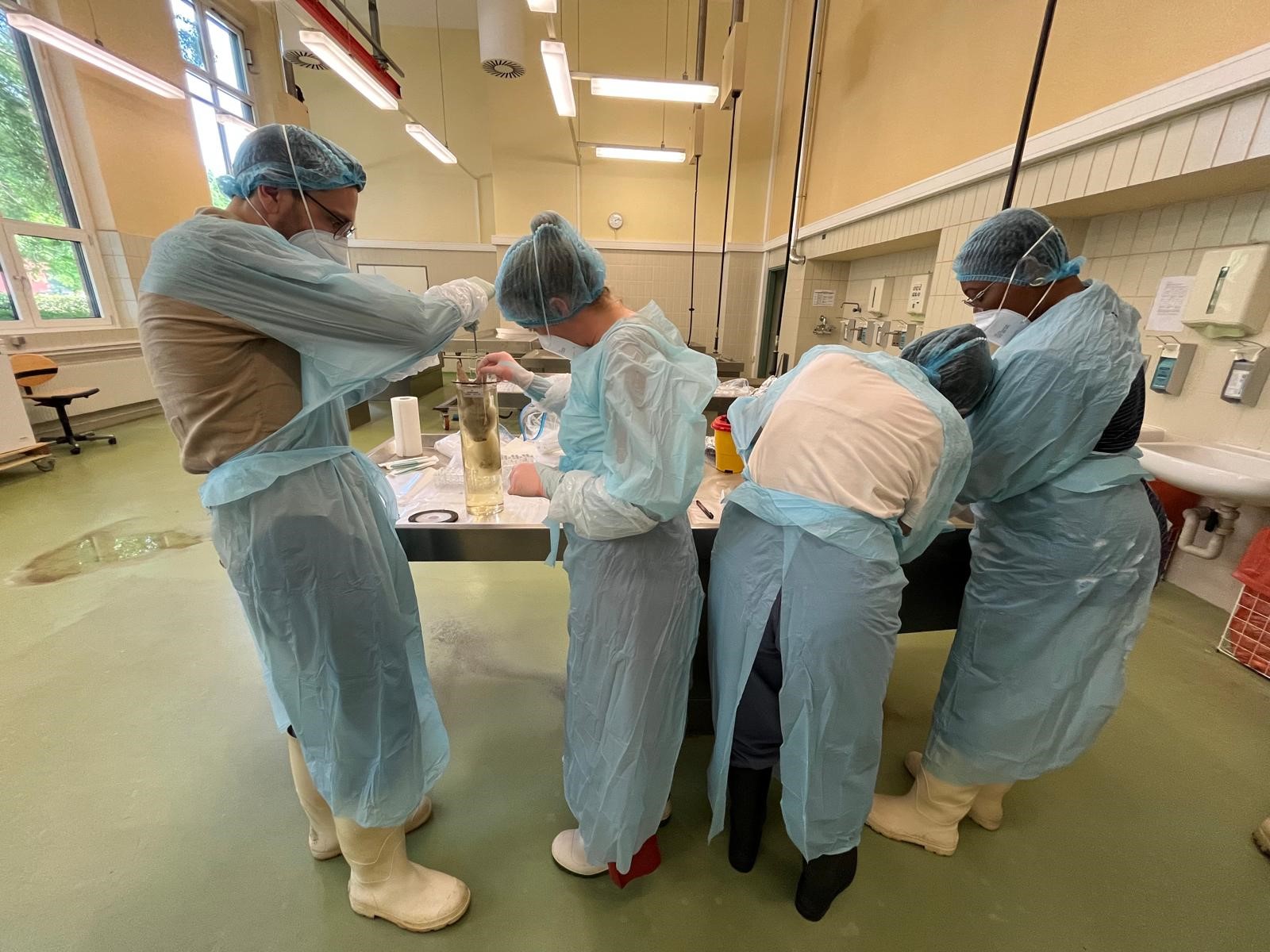 Tracing ancient pathogens in Vienna | HELMHOLTZ HIOH