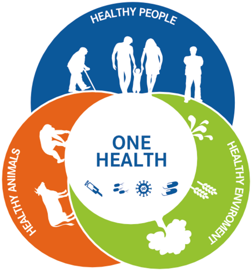 HIOH becomes the new office location of the nationwide One Health ...