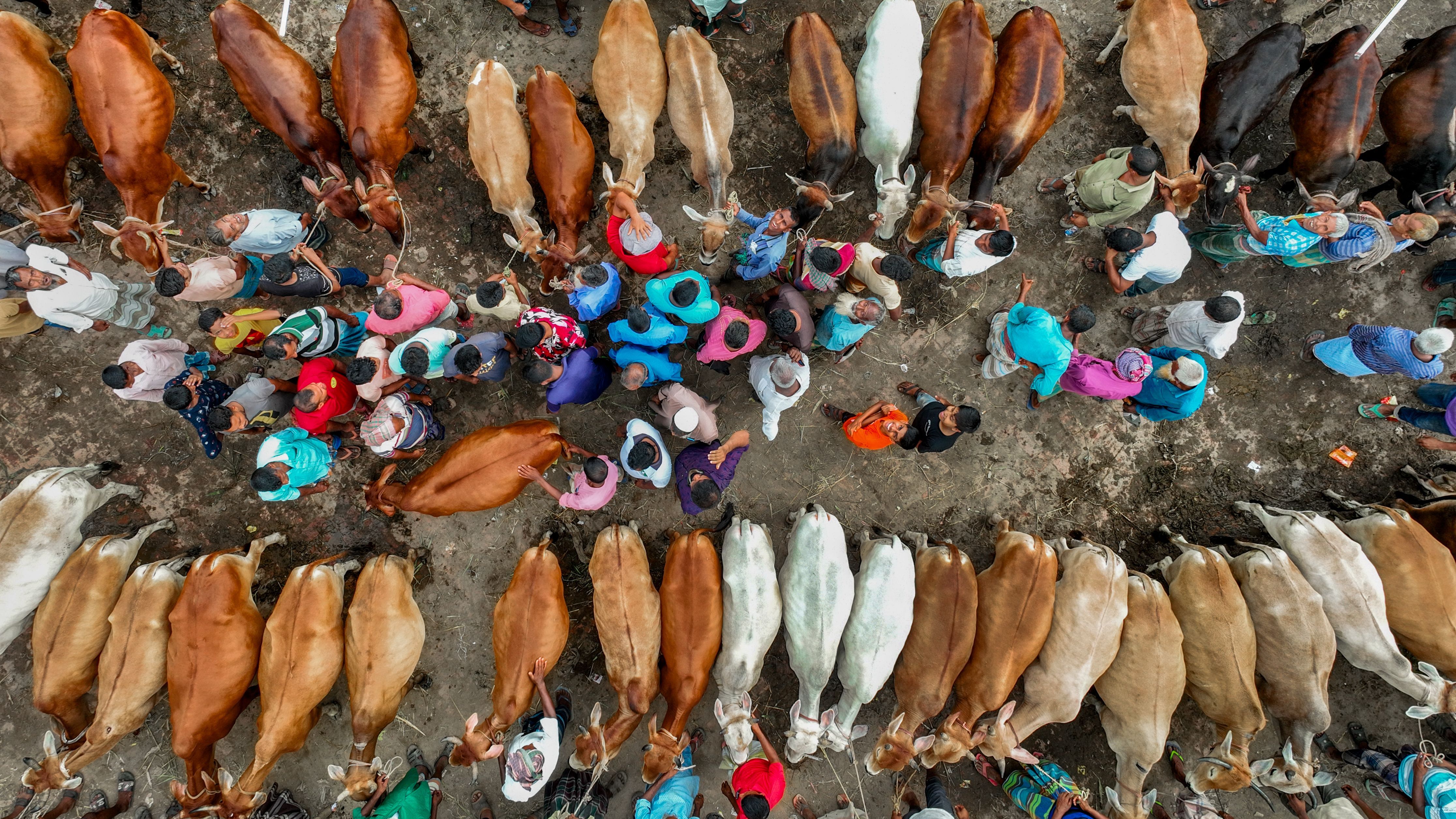 One Health - Triad of Environmental, Animal and Human Health ...